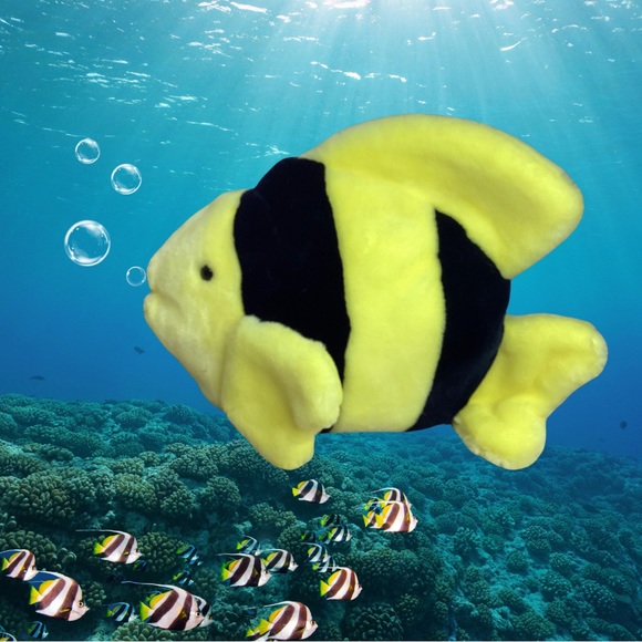 Ty | Toys | Ty Beanie Buddies Retired Vintage 995 Bubbles Angel Fish ...